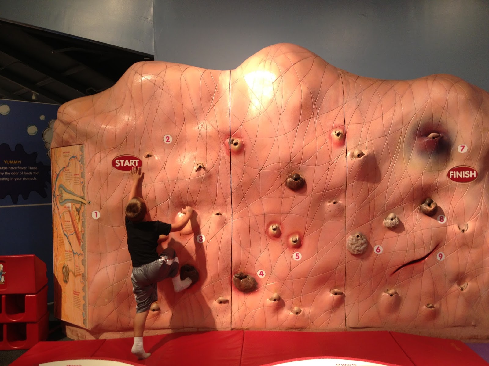 Runs for Cookies: Grossology