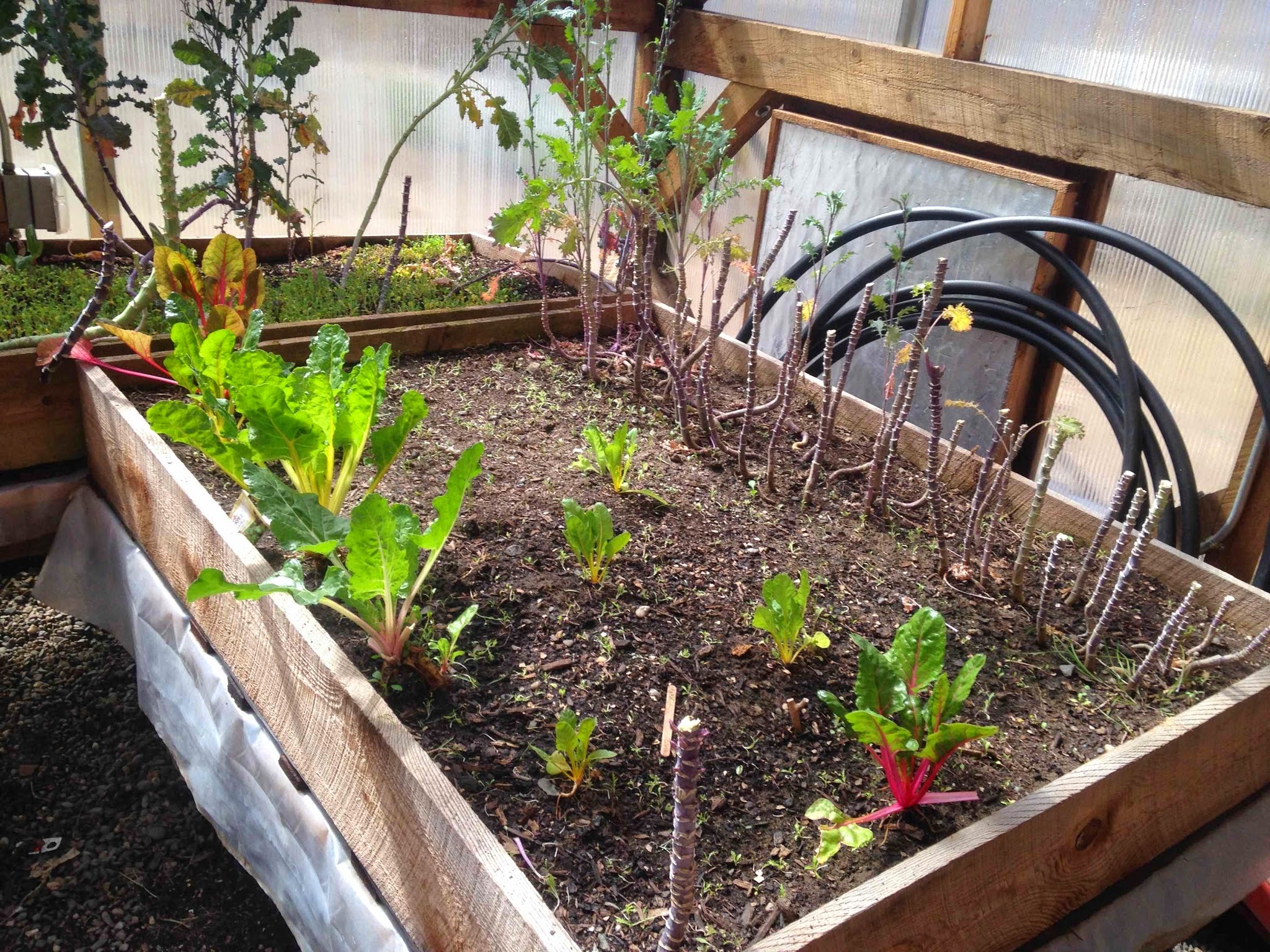 Compost Columns: Urban Compost