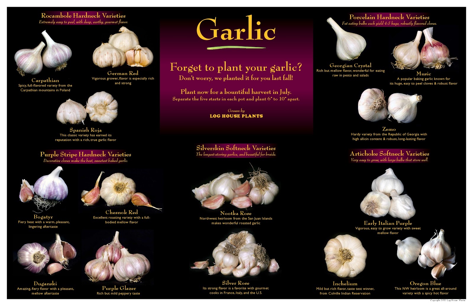 Garden Grumbles and Cross Stitch Fumbles: Spring Stitching Spring Gardening