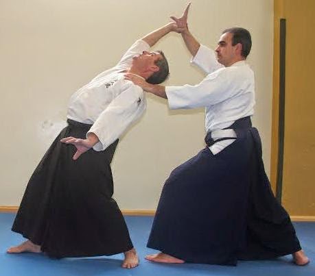 AIKI -CONTROL: MUSHIN