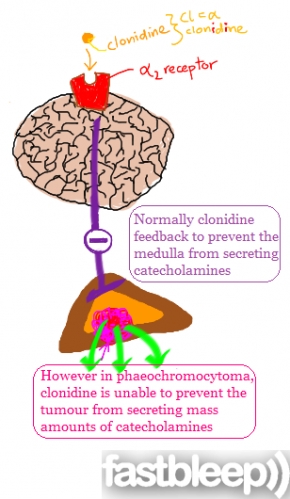Clinical Chemistry Blog Notes 8c-A