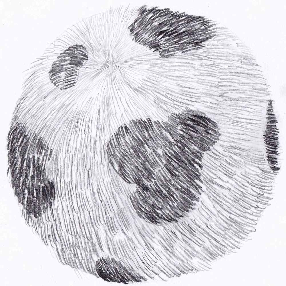 Weekly : Doodles and tuts: Drawspace lesson I04: how to draw a spotted hair