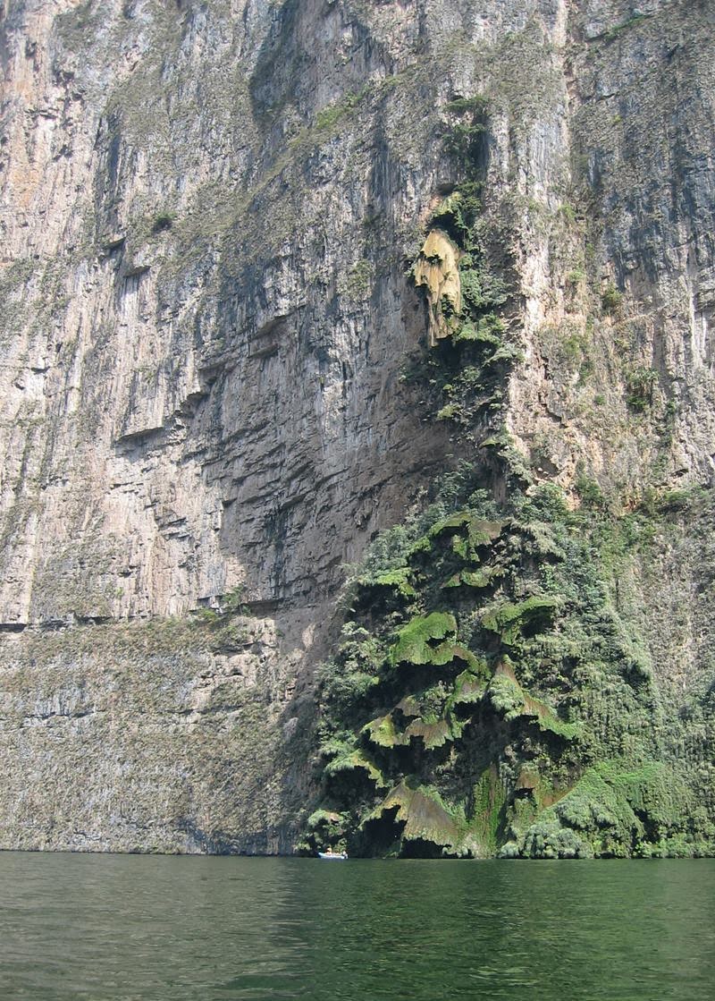 Christmas tree Waterfall | Arbol de Navidad Cascada, Mexico