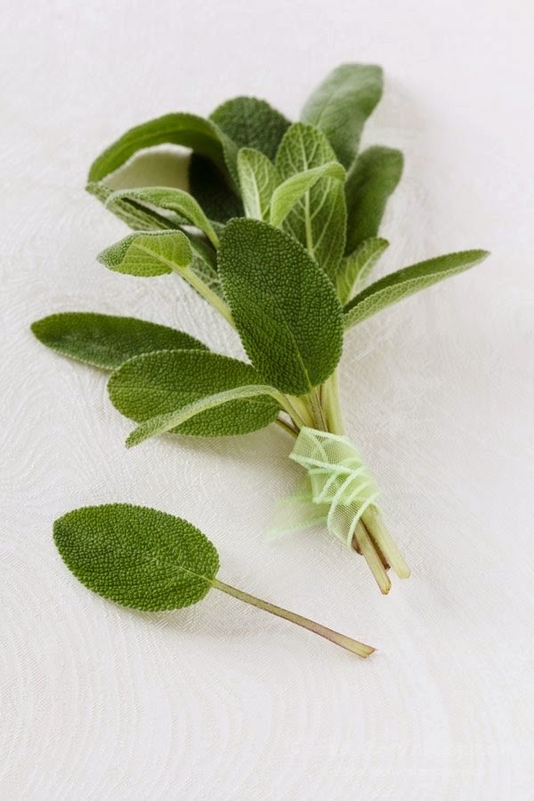 How Sage Helps In Boosting Your Health ~ Total Stylish