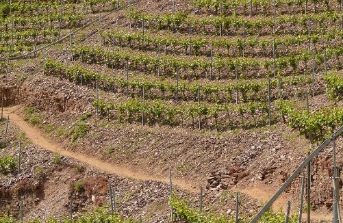 How to Terrace a Steep Slope