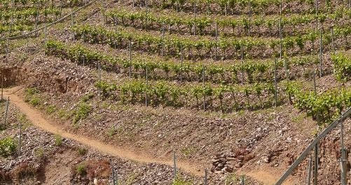 How to Terrace a Steep Slope