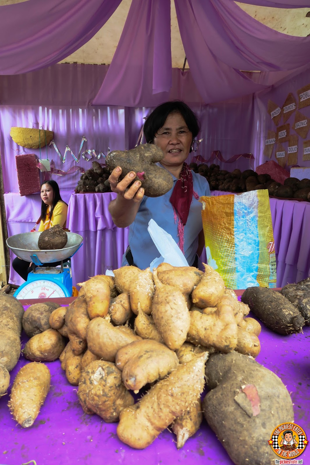 THE PICKIEST EATER IN THE WORLD: BEHOLD: BOHOL'S 2016 UBI FESTIVAL!