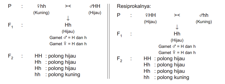 Persilangan Resiprokal
