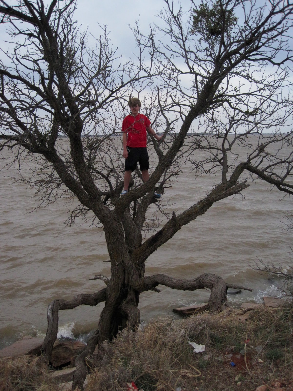 Newcomer's Diary: [Lake] Fort Phantom [Hill]