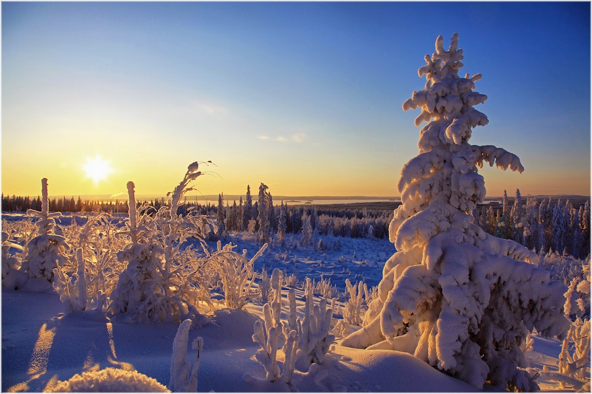 Valtteri Mulkahainen - igra svetlucavih perli ~ F I N S K A