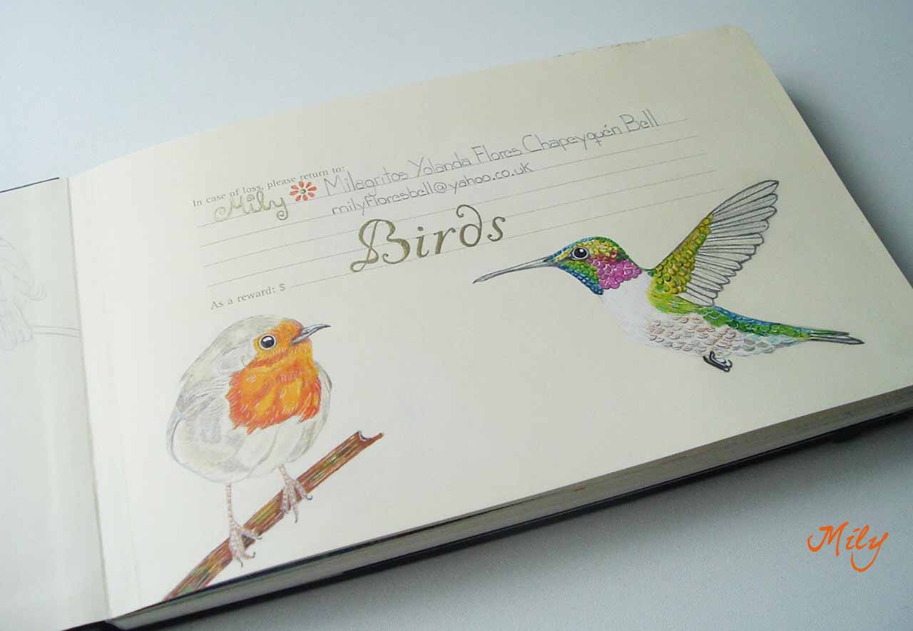 Milycha's Art Blog: Work in Progress : My Birds Journal Cover