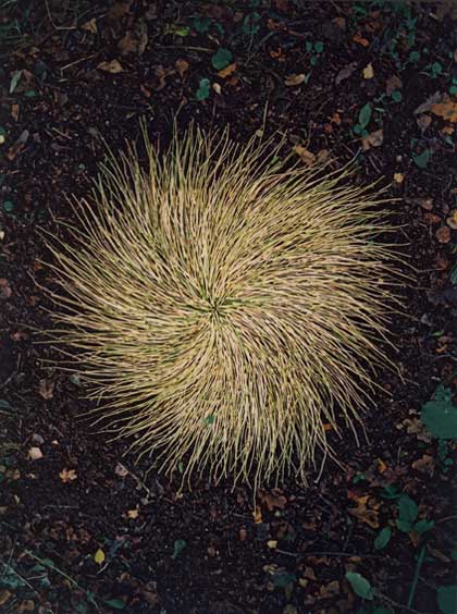 paradis express: Tim Pugh