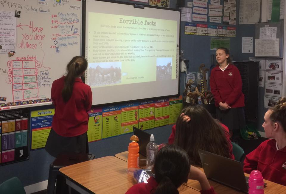 Room 10 Tokoroa Intermediate: August 2017