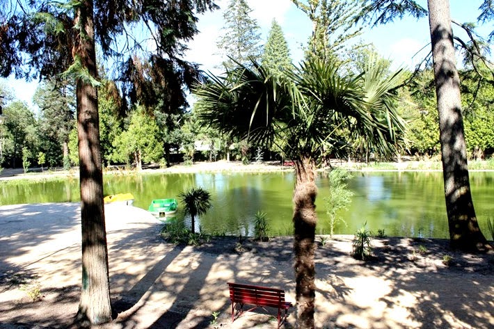 Hoteles Singulares: Pedras Salgadas Spa & Nature Park