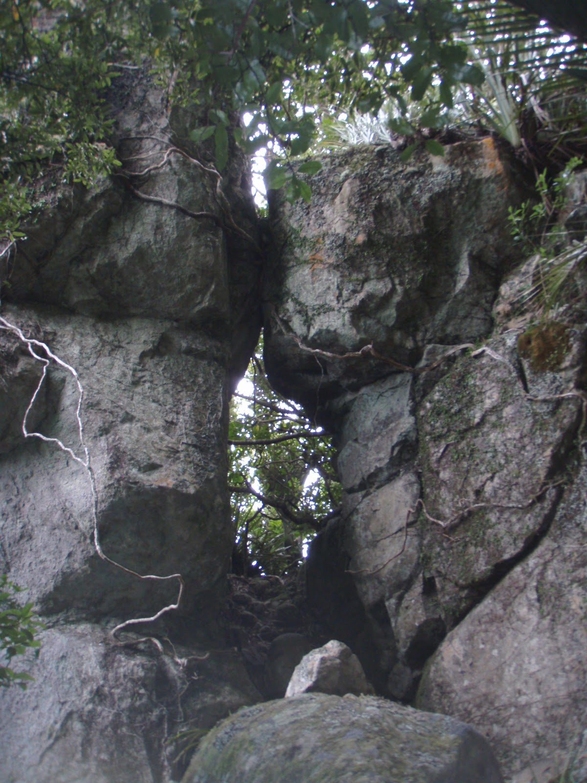 Breakaway Retreat: Bream Head Reserve Walking Track - Peach Cove to ...