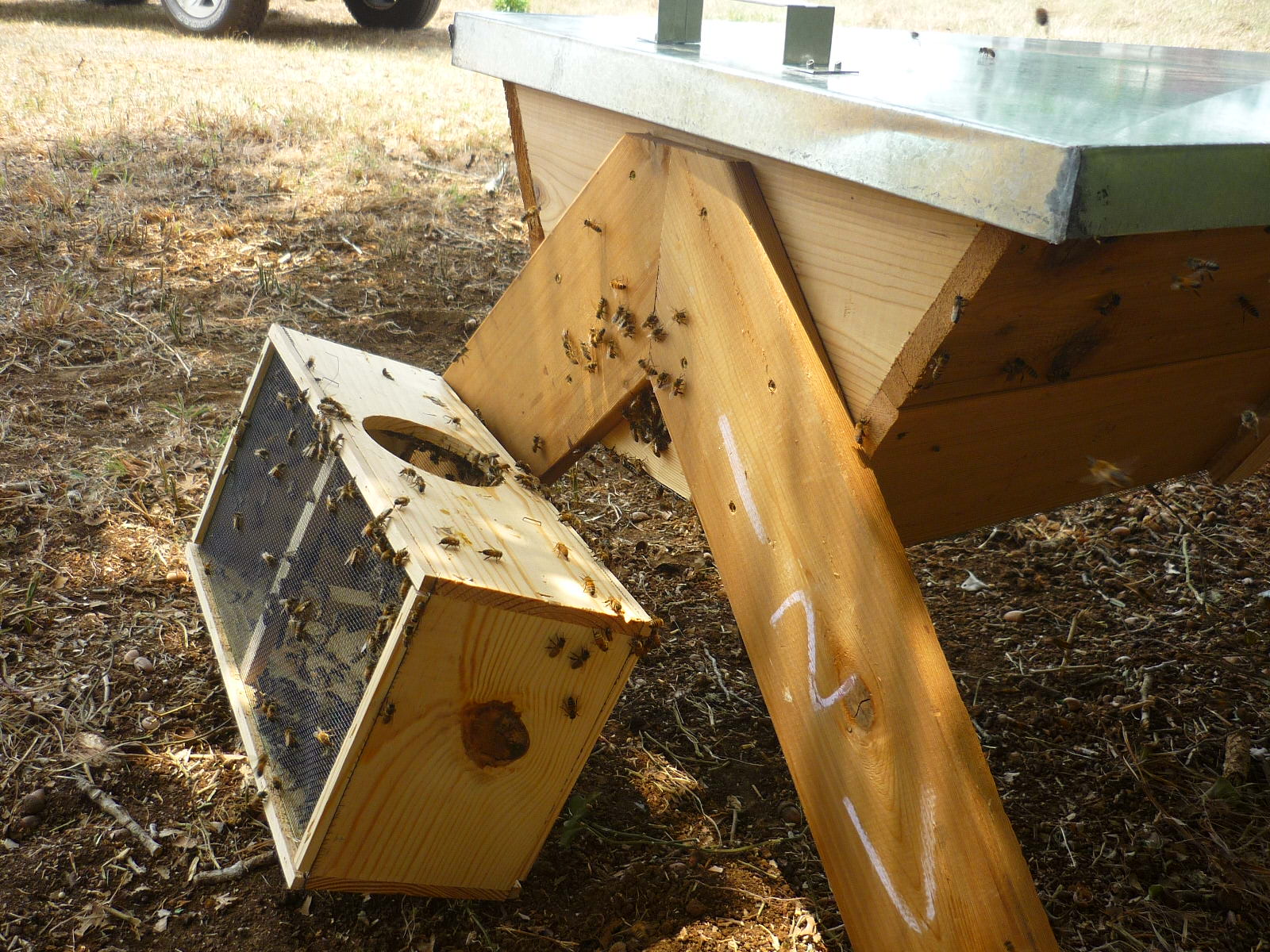 Lehmann Beekeeping and Apiary