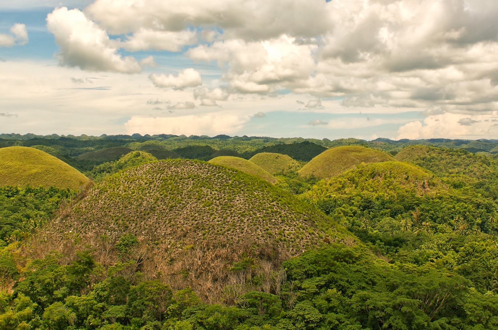 Carlo Andrew's Photos: Chocolate Hills, Bohol