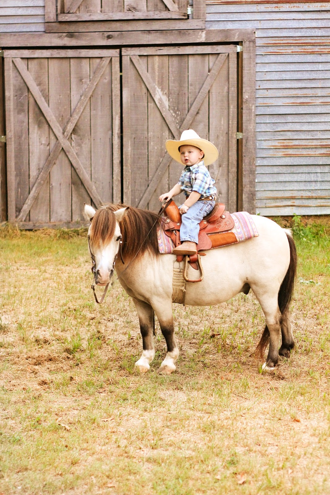 Pony Riding Fun! - the farmer and the southern belle