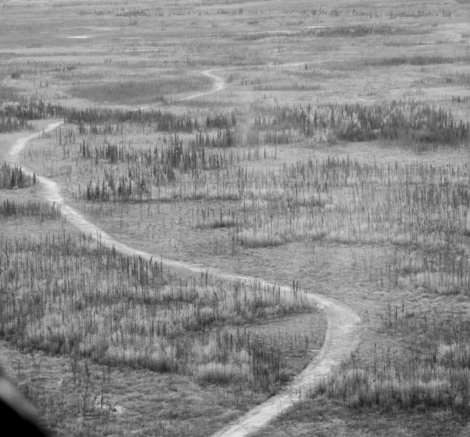 Mountain memories: Kanuti Picture Project