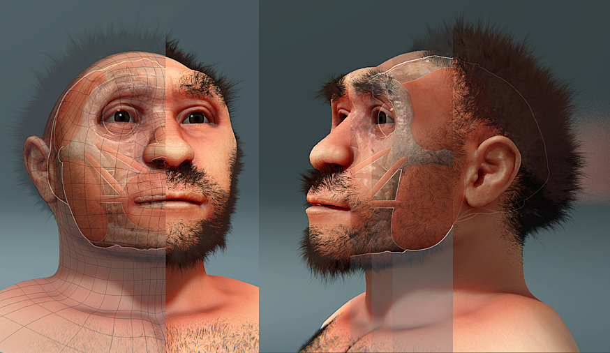 ATOR: The Faces of Evolution - Exhibition of hominids forensic facial ...