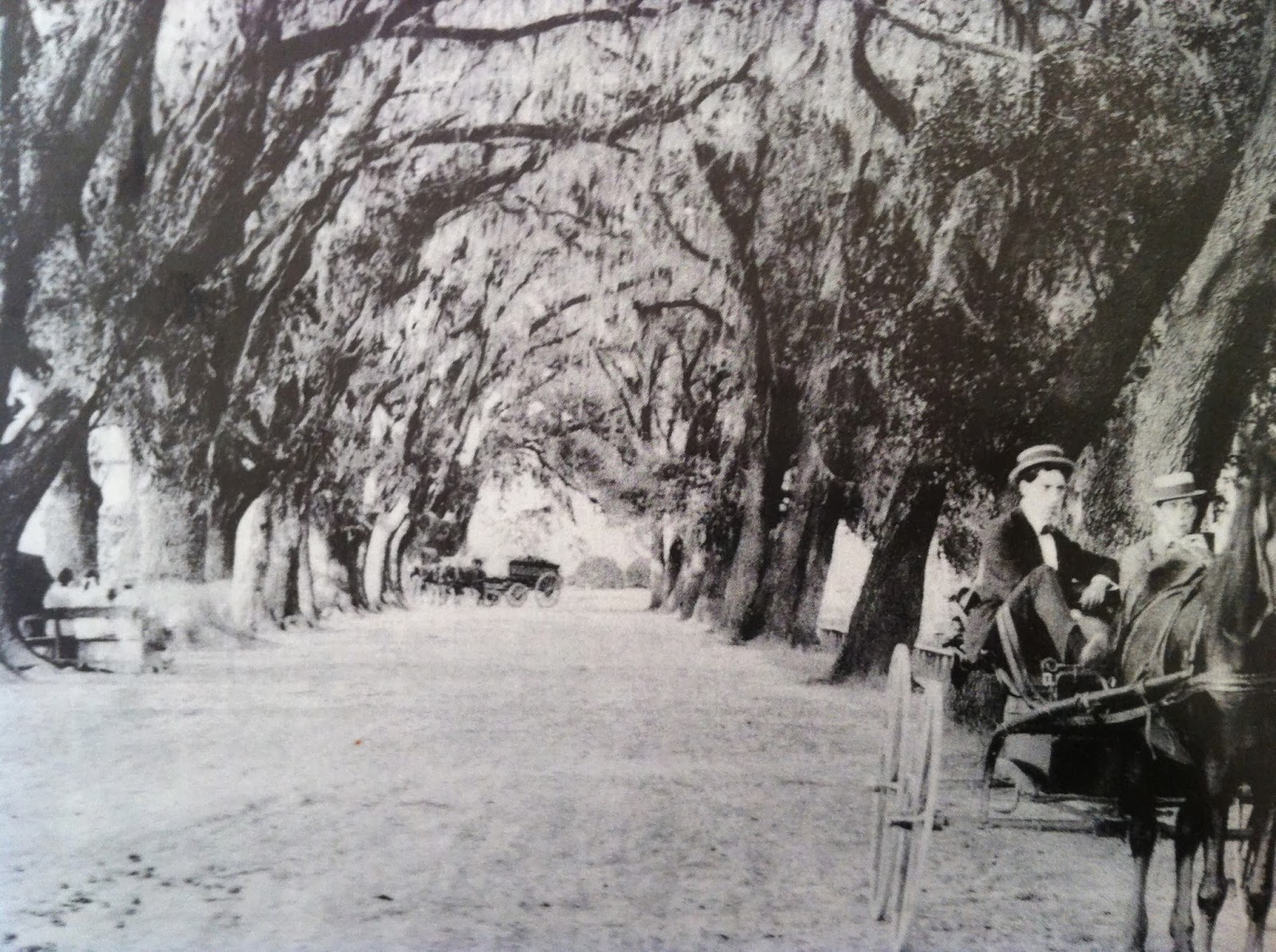 Eugene Ray Architect: RADIANT MIRACLE IN NEW ORLEANS / foucher-de bore ...