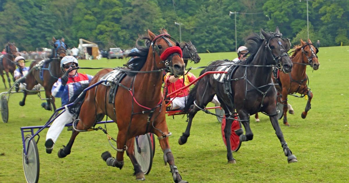 Harness Racing in the UK: 2016 Season: Week 4 - Sun, cider and Scottish ...