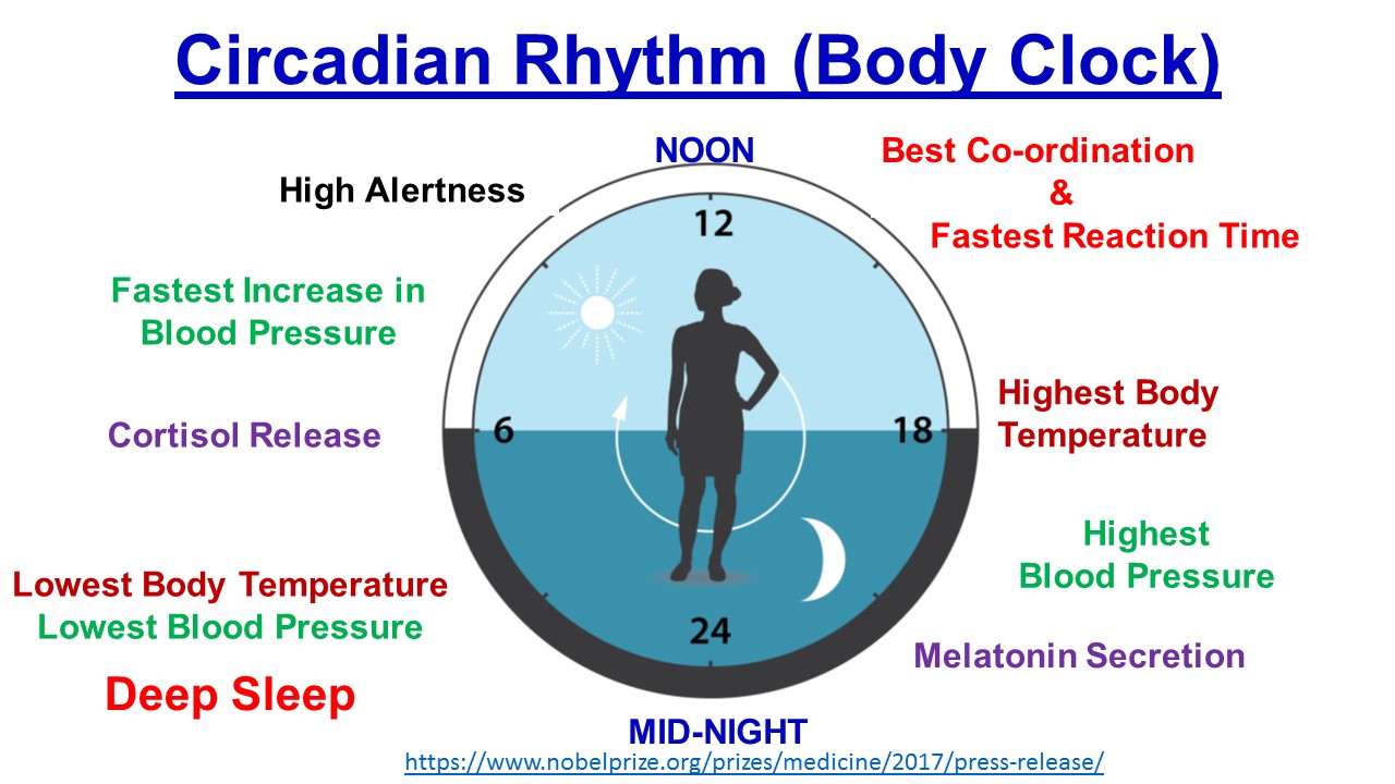 ektalks: SLEEP (Part 2): Why Do We Need to Sleep? The Science of Sleep ...