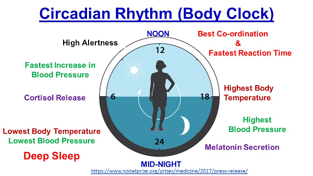 ektalks: SLEEP (Part 2): Why Do We Need to Sleep? The Science of Sleep ...