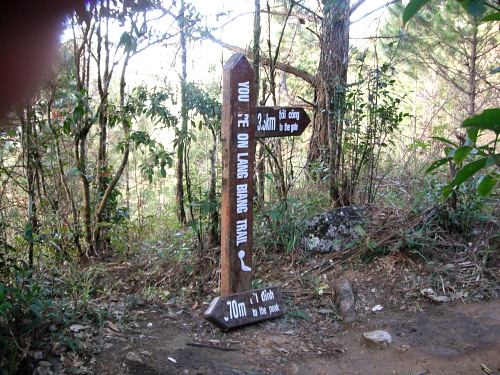 Birding North Unst: 25th February 2017 Mount Lang Biang