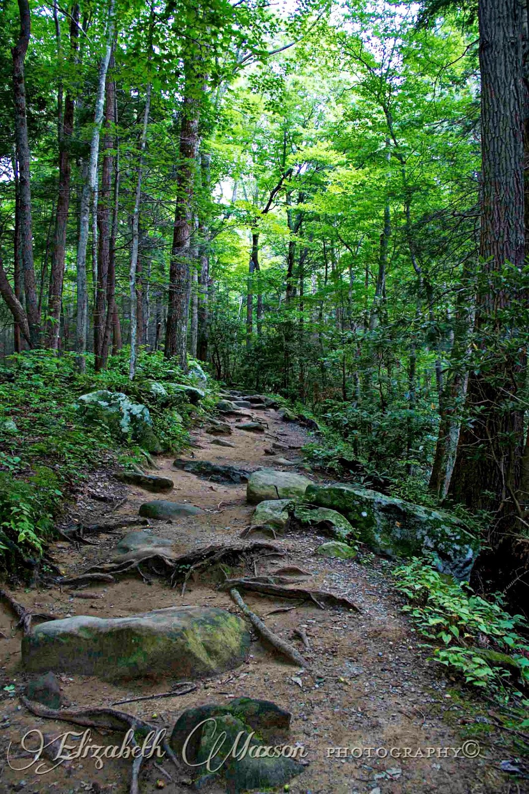 The Adventures of Elizabeth: Some Pathways Need Passing