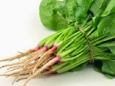 6 Khasiat Akar Bayam Duri Untuk Kesehatan dan Kecantikan | Khasiat