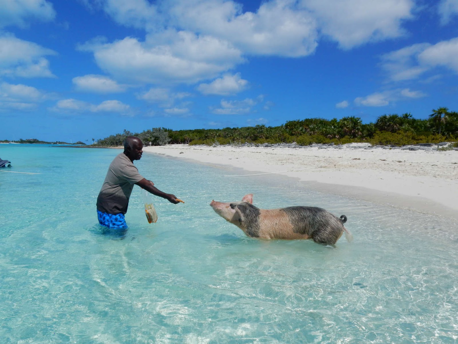 Dicas de viagem para as Exumas, nas Bahamas - Renata Viaja...