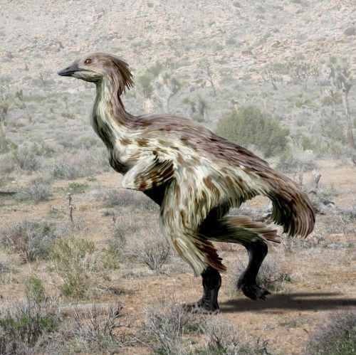 Paleoexhibit: Samrukia nessovi, the prehistoric giant bird from Kazakhstan