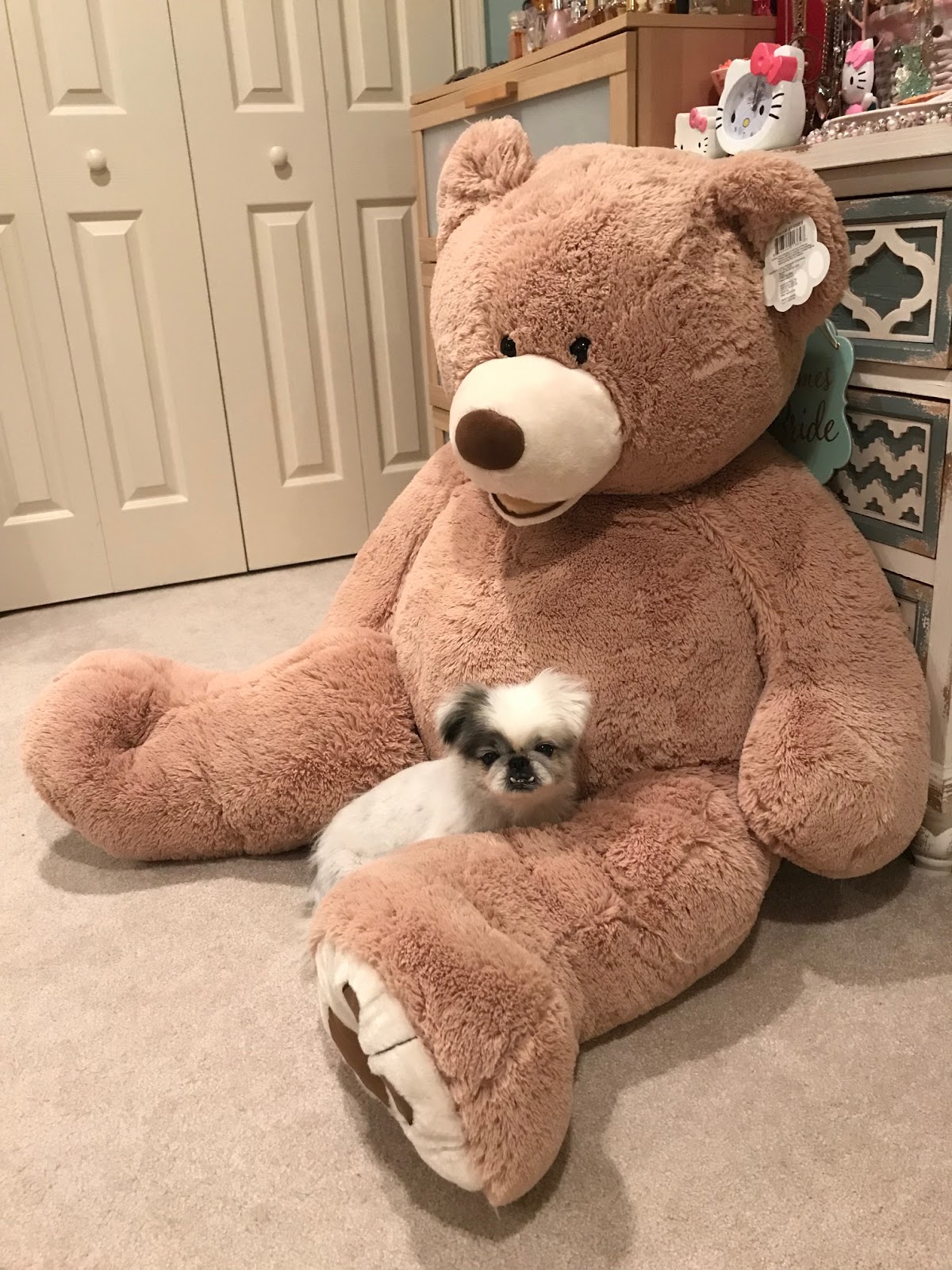 Must Love Pekes: HARLEY MARIE