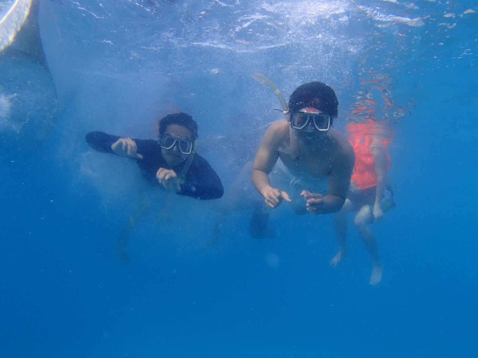 Baron the Explorer: Cebu Trip: Oslob’s Butanding Watching (up close and ...