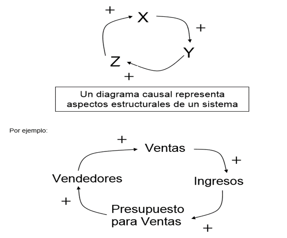 Diagramas Causales ~ tics