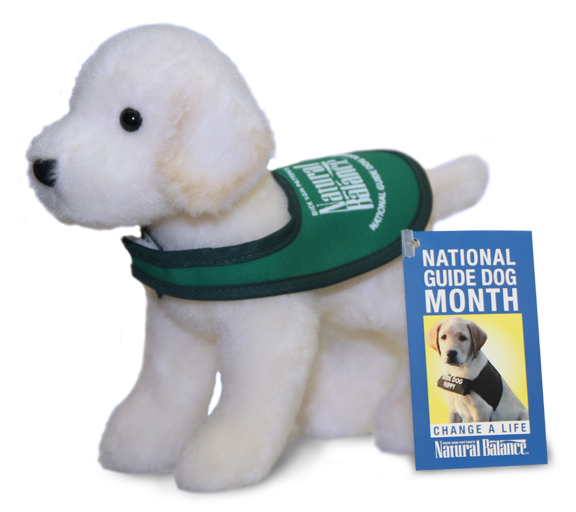 Things to Ponder: September is National Guide Dog Month- Please Help!