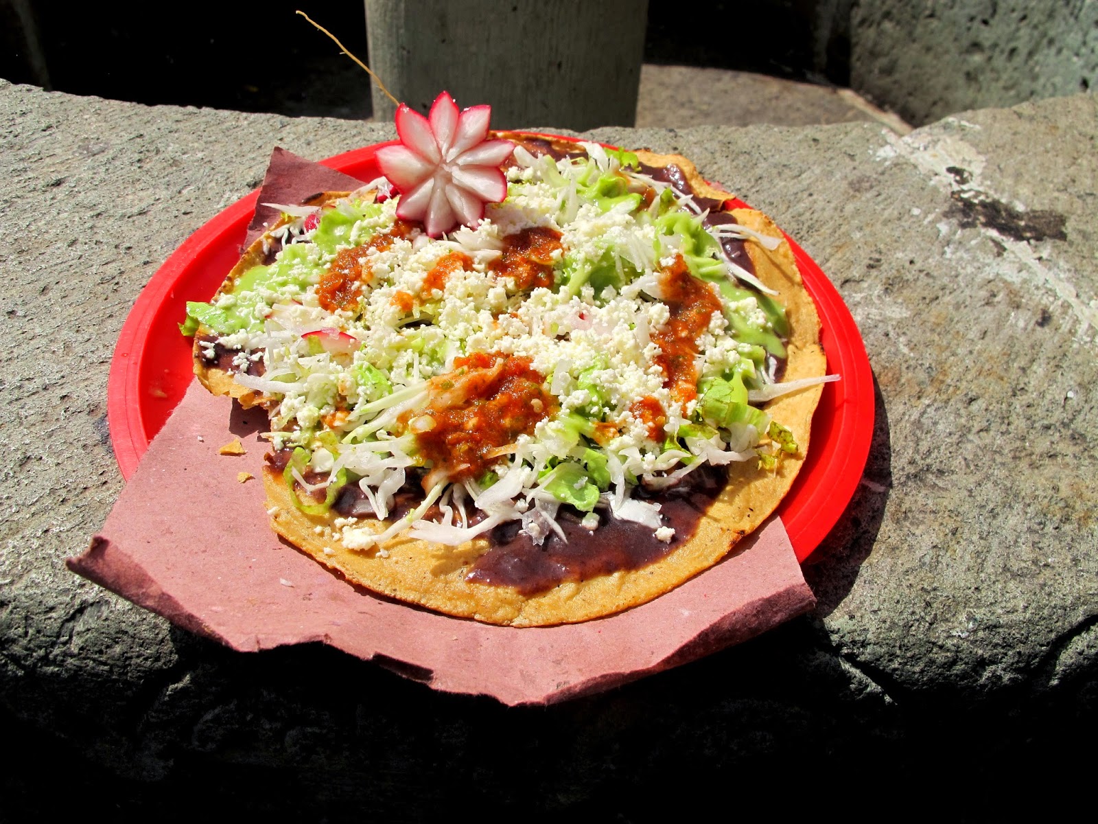 Robin Talks, Cooks and Travels: An Oaxacan Adventure in October 2015