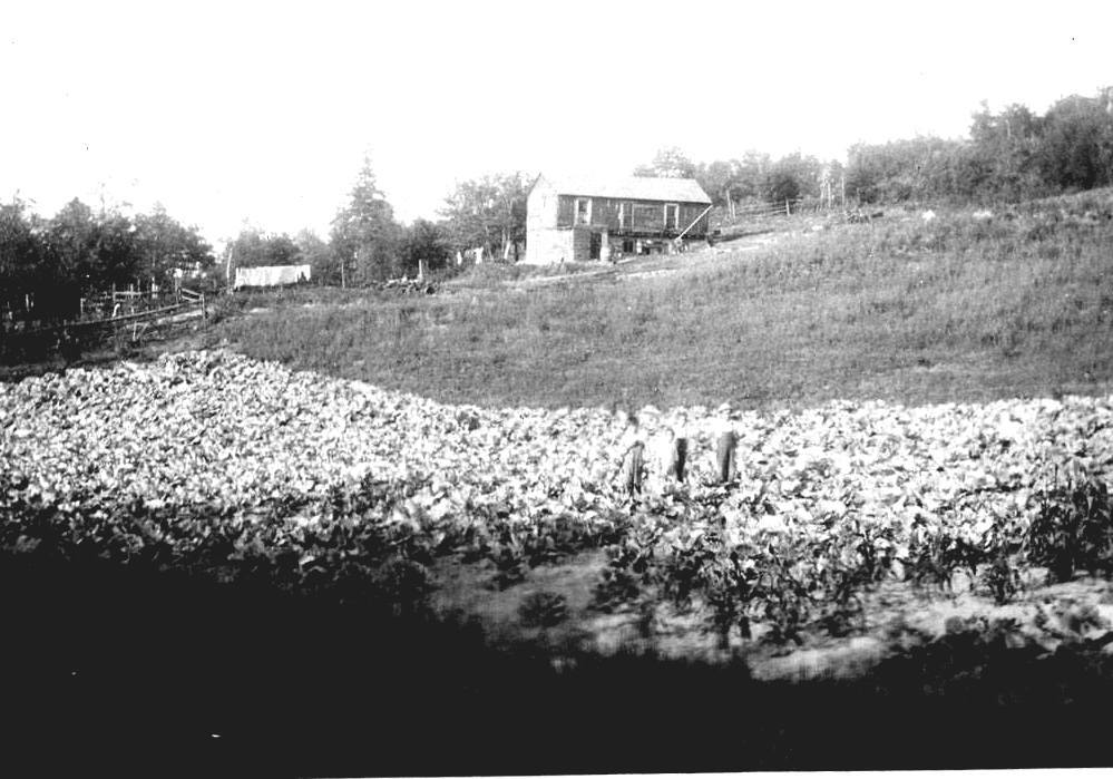 Becker County, Minnesota - Becker County Minnesota