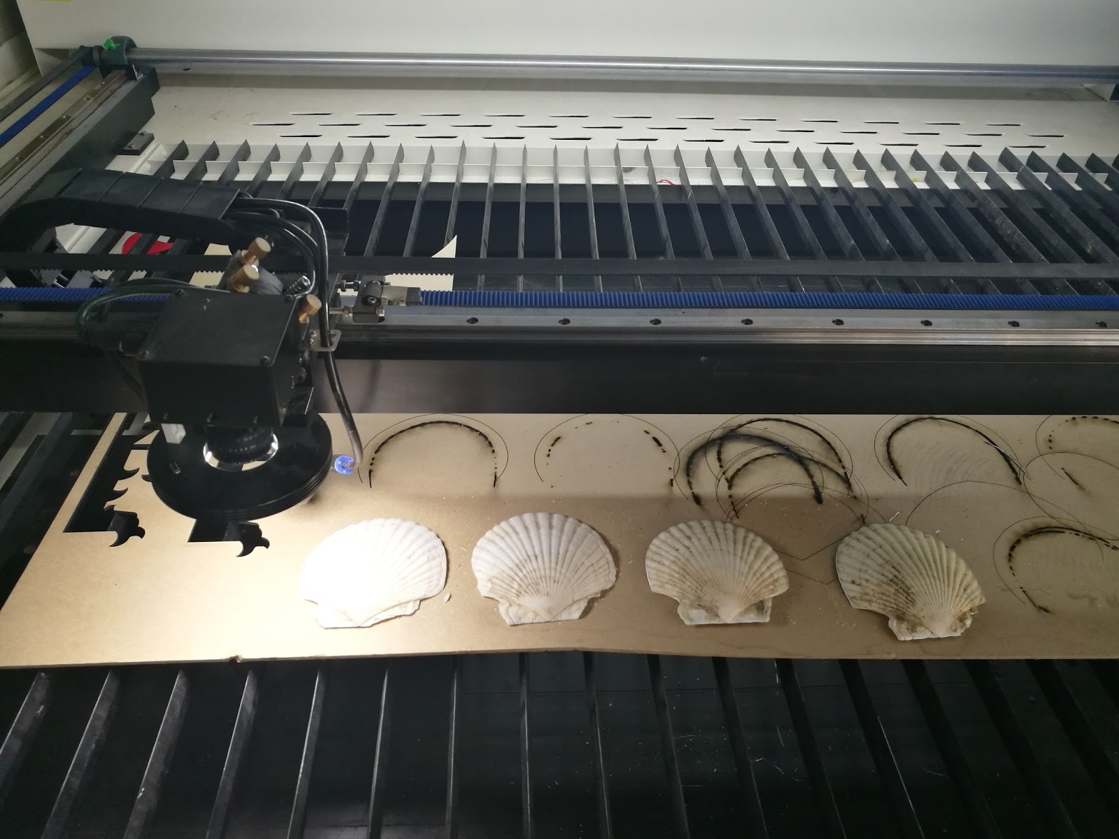 JinQiang laser CNC equipment Co,LTD : shell cutting by JQ1390 co2 laser ...