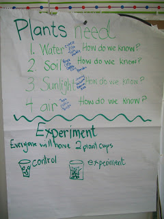 First Grade Rock Stars: Science Experiments Galore!