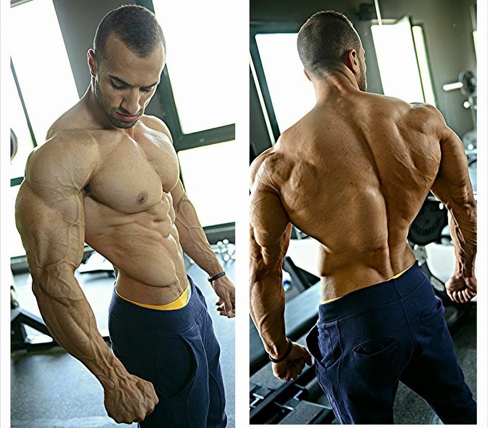 Fitness Best Physiques : amr hussein