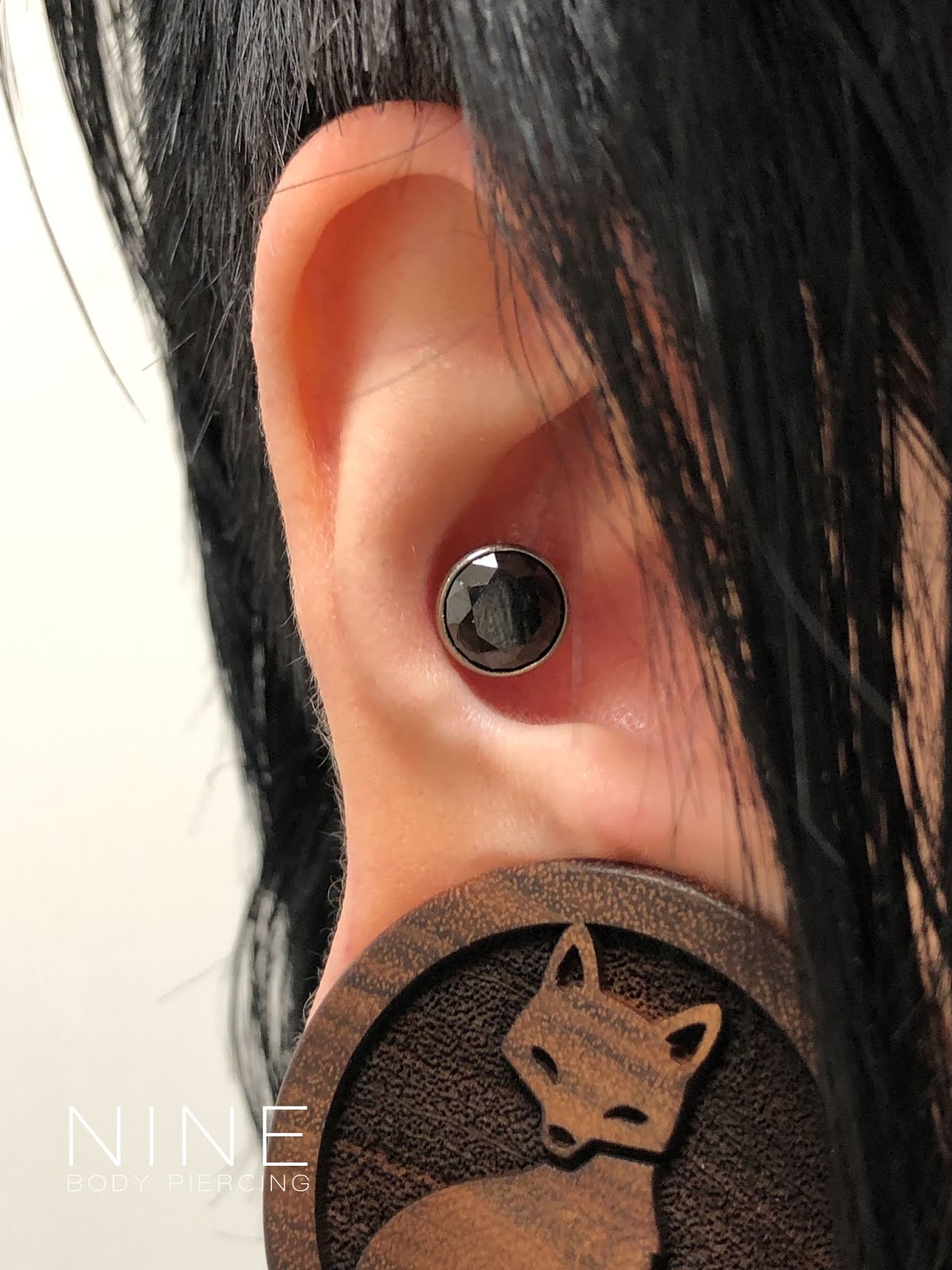 NINE BODY PIERCING BLOG: Dermal Punch on Conch with Anatometal Single ...