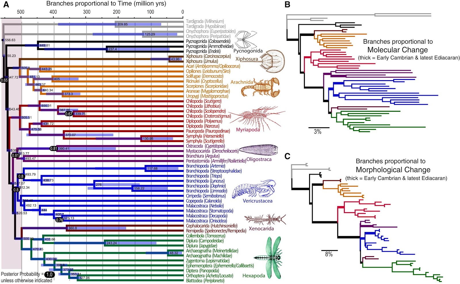 TYWKIWDBI ("Tai-Wiki-Widbee"): Panspermia and the Cambrian Explosion