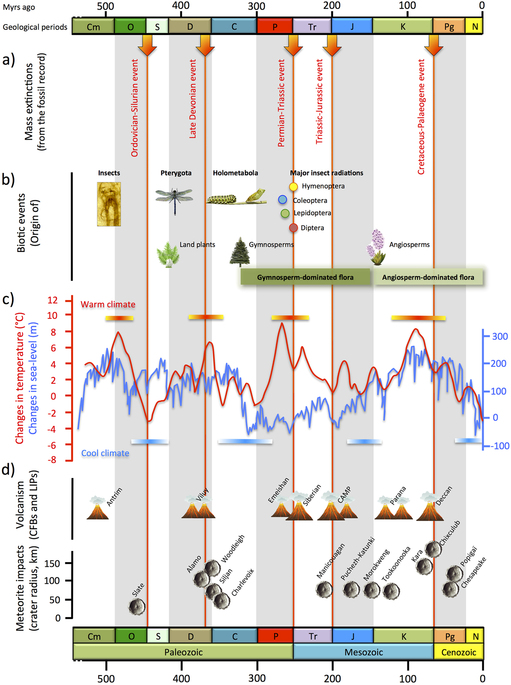 Paleontología y Evolución en la UCM: LA DIVERSIFICACIÓN DE LOS INSECTOS