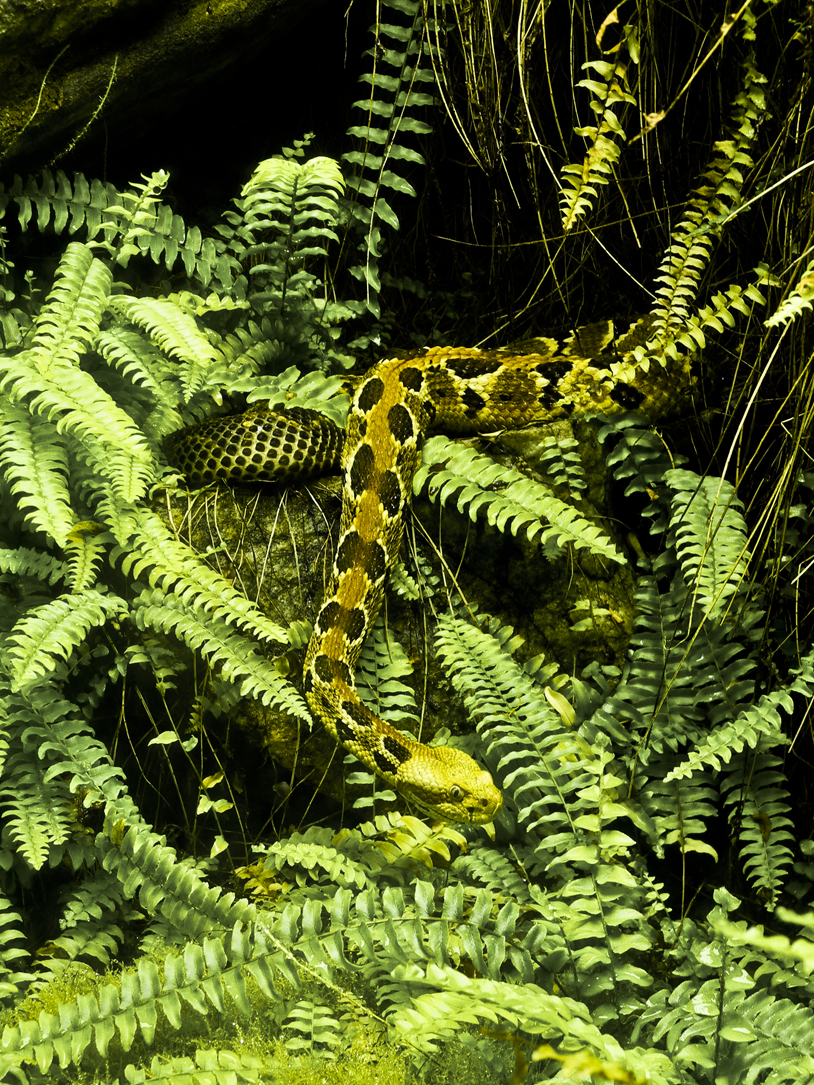 Wisconsin Explorer: Henry Vilas Zoo - Madison