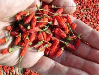 Wiki GOJI - Goji, fructele tineretii beneficii si o reteta rapida de ...