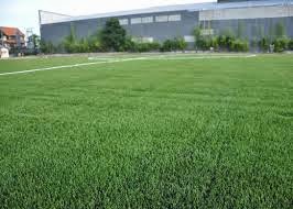 PUSAT RUMPUT SINTETIS TAMAN & FUTSAL DAN VERTICAL GARDEN SINTETIS ...