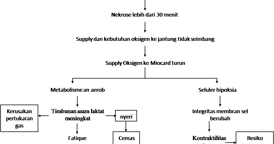 DAVID RHIO AGATHA: Pathway Infark Miokard Akut