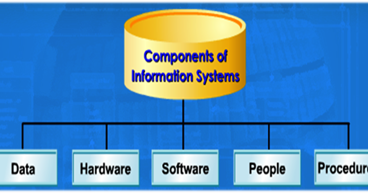 Team 5 McDonald's: Analysis